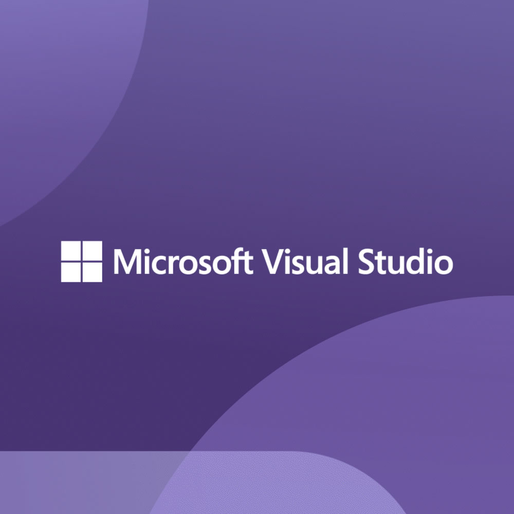 Microsoft Visual Studio Professional 2022 Licencia Anual 365 días ...
